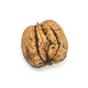 Nos produits – L'Atelier de la Noix de Léa